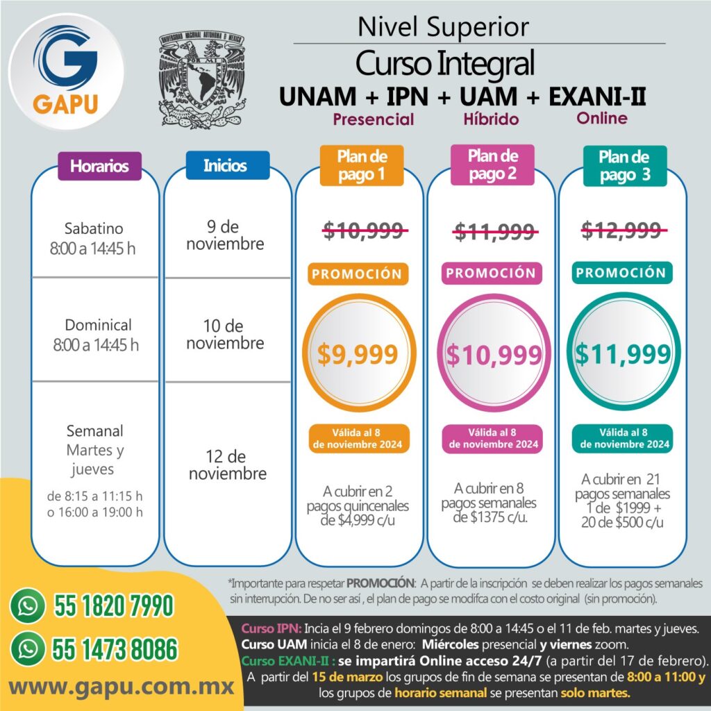 Curso UNAM 2025 | GAPU