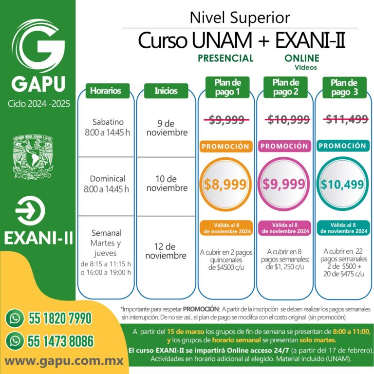 Curso UNAM 2025 | GAPU