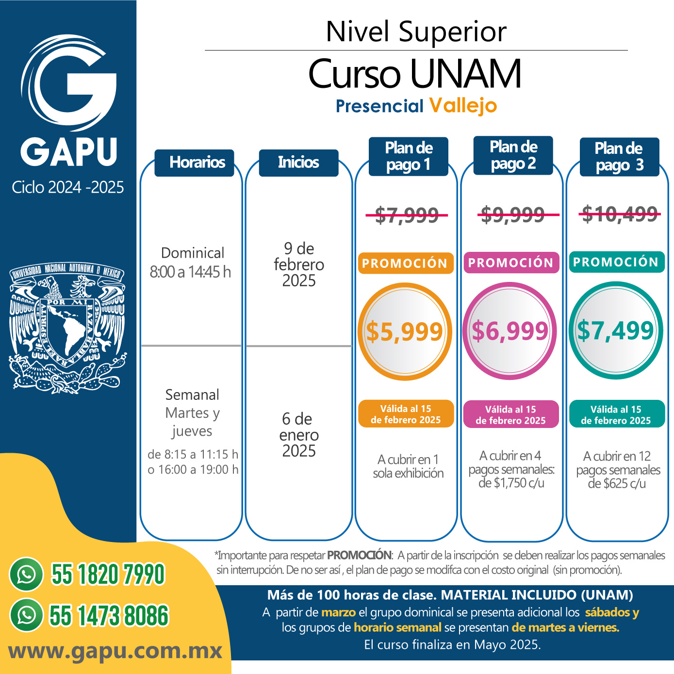 Curso UNAM 2025 | GAPU