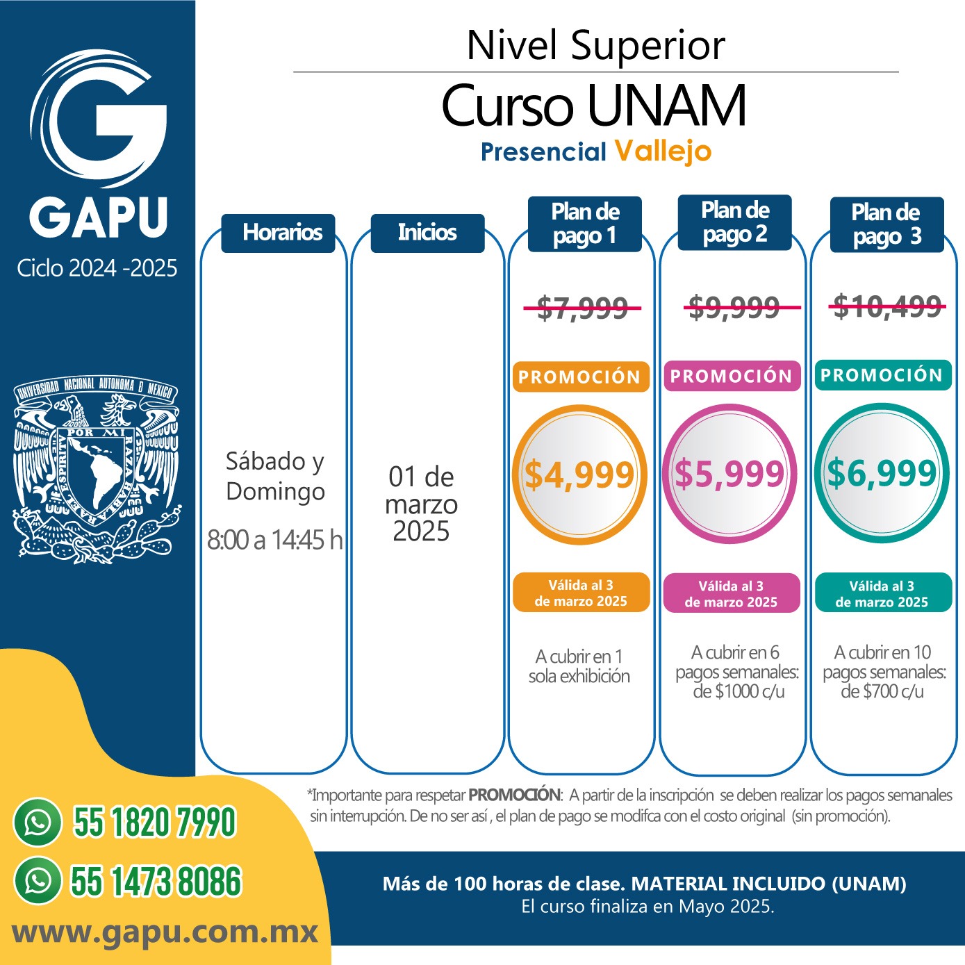 Curso UNAM 2025 | GAPU
