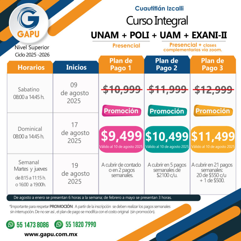 Curso UNAM 2025 - GAPU